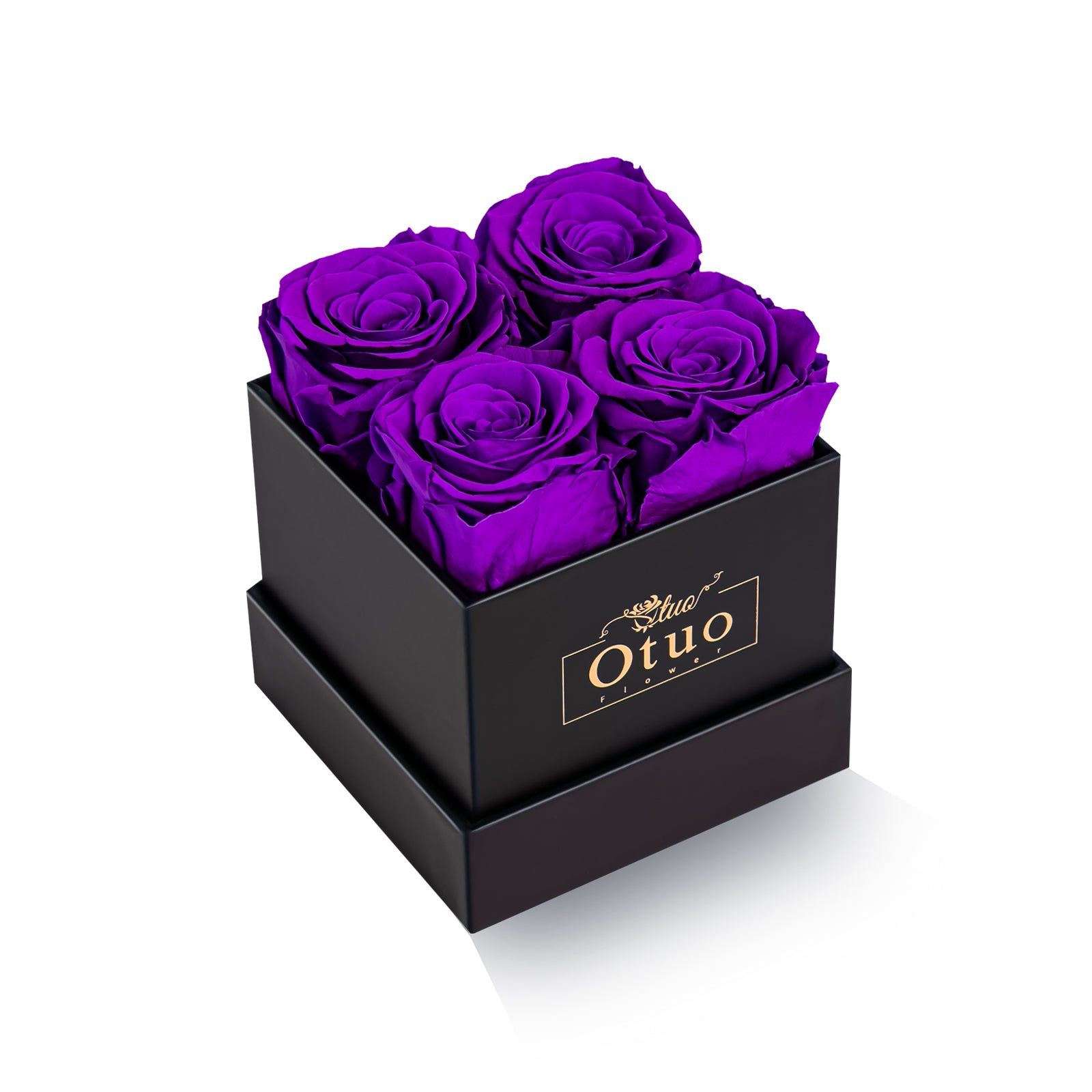 Small Eternal Rose Box - 4 Blooms (Purple) – OTUO